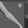 Kinefx skeleton to Maya, how to zero out joint rotations? | Forums | SideFX
