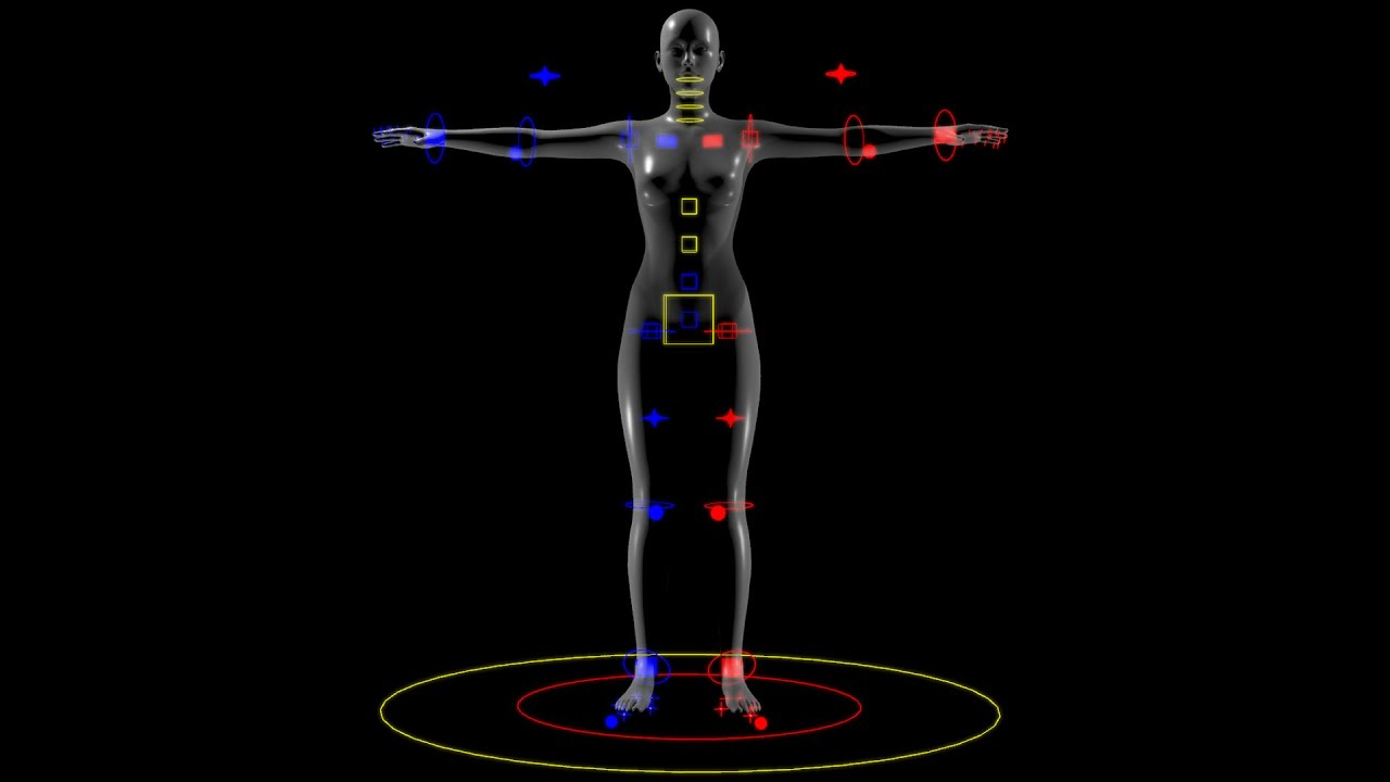 Full Biped APEX Rig | SideFX