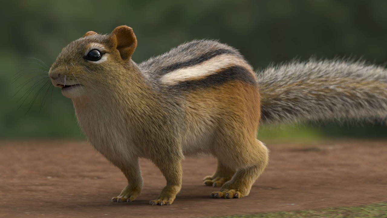 Fur Look Development | SideFX