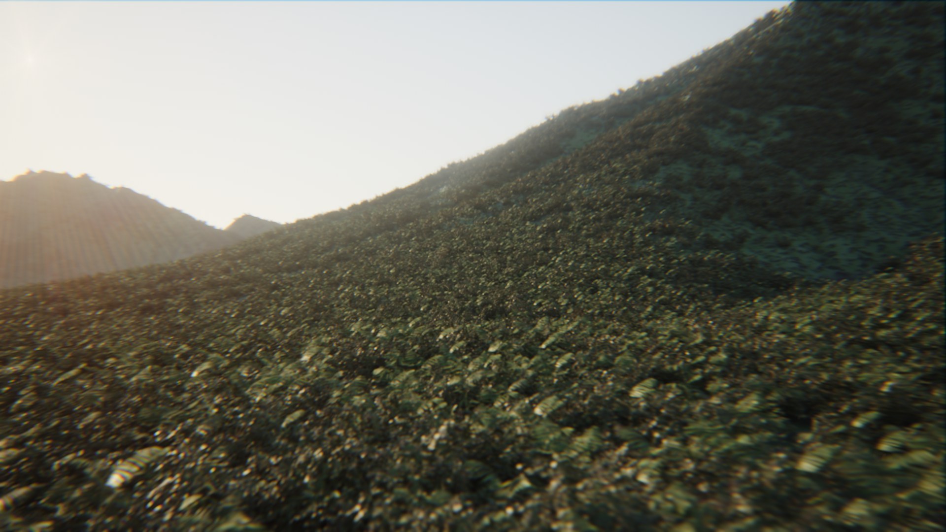 Getting started with Labs Biomes | SideFX