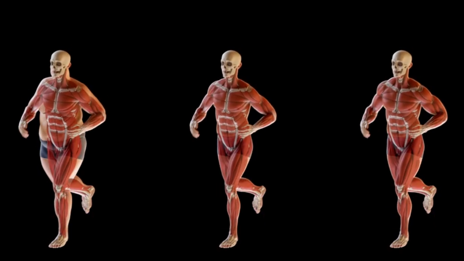 Muscles and Tissue H21 Masterclass | SideFX