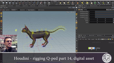 Cat Quad-Rigging - 14 Digital Asset | SideFX