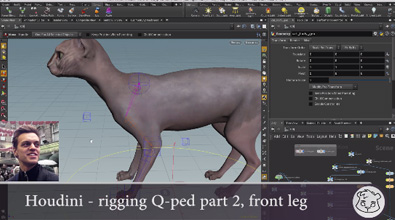 Cat Quad-Rigging - 02 Front Leg | SideFX