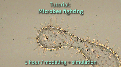 Microbes Fighting | SideFX