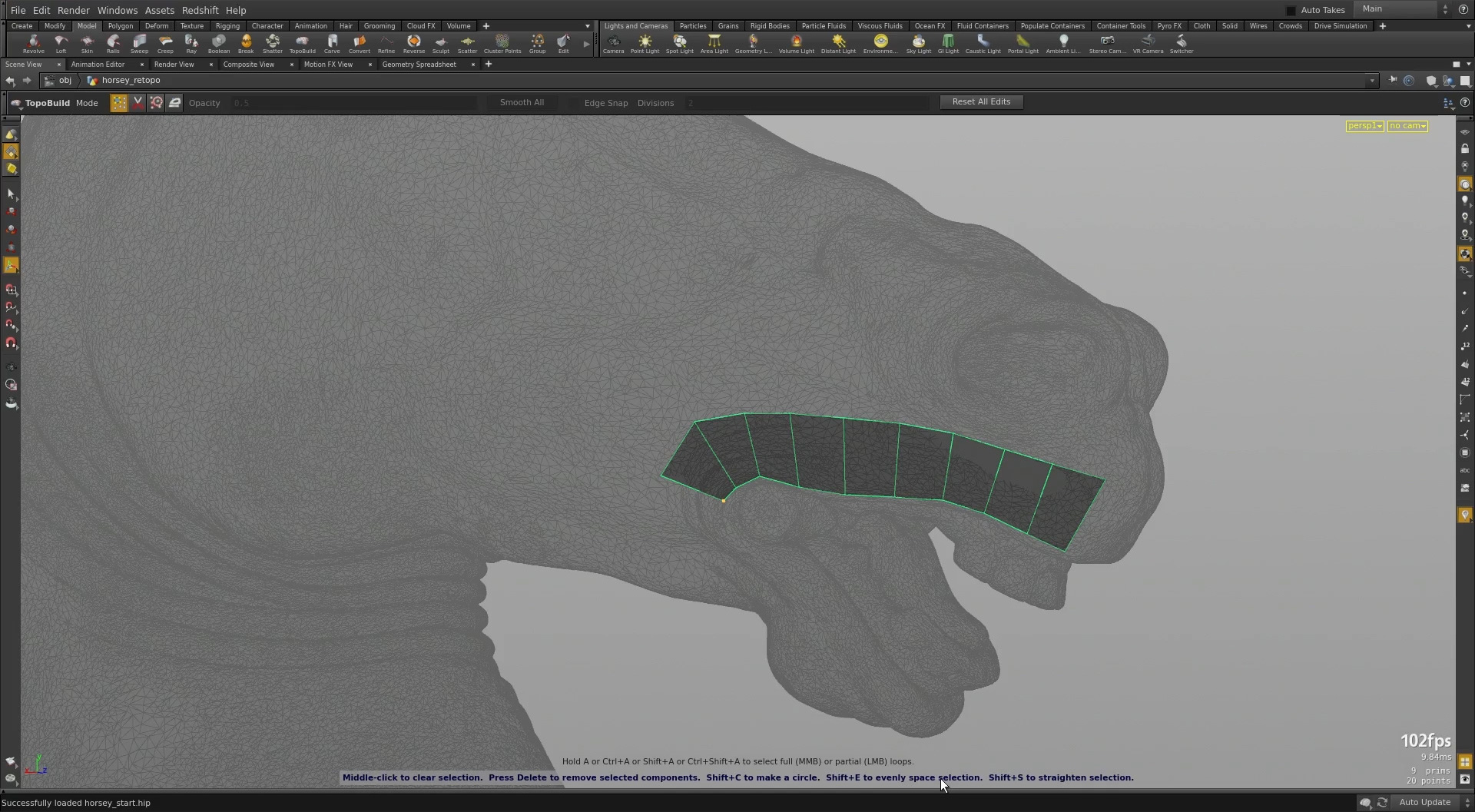 TopoBuild Horse Model | SideFX