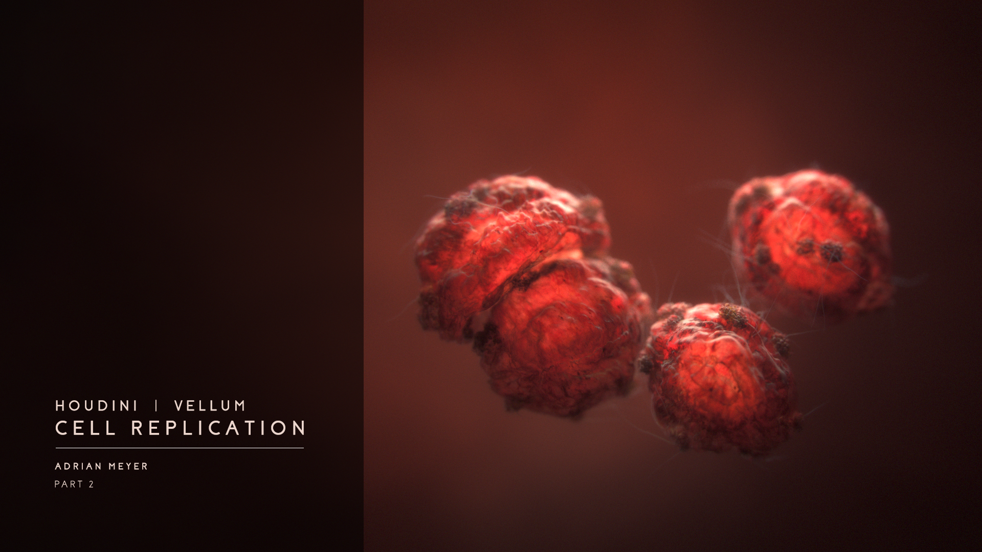 Vellum Cell Replication | Part 2 | SideFX
